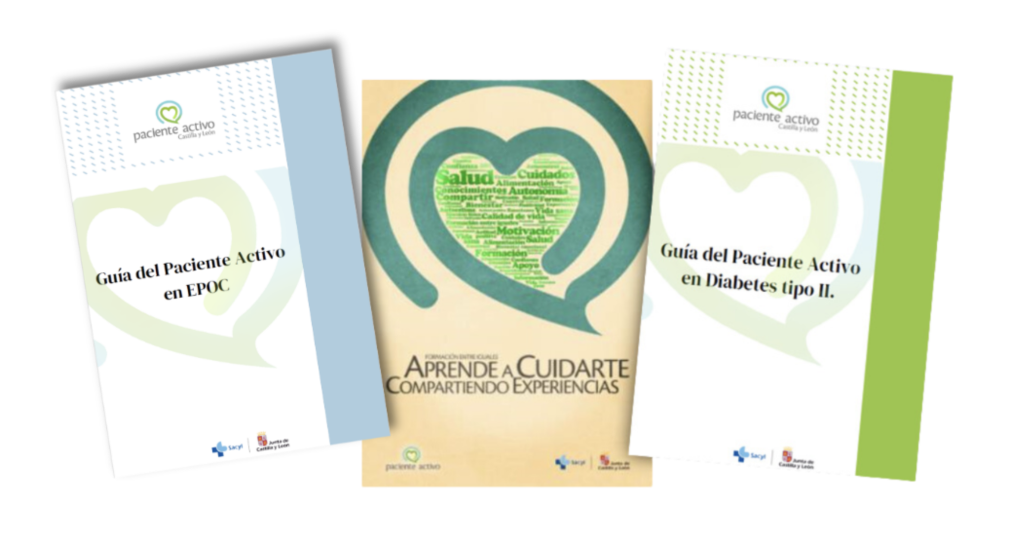 SOCALPAR – Sociedad Castellanoleonesa y Cántabra de Patología Respiratoria